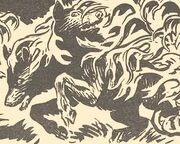 Dog | Tardis | Fandom