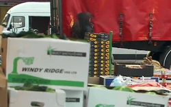 Windy Ridge Veg Ltd | Tardis | Fandom