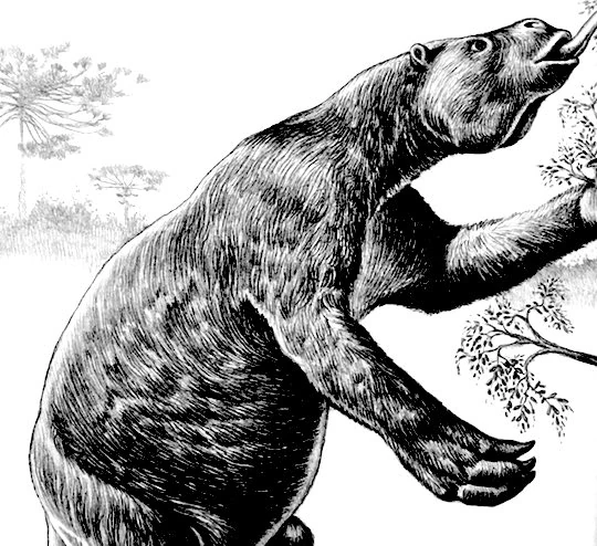 Megatherium | Tardis | Fandom