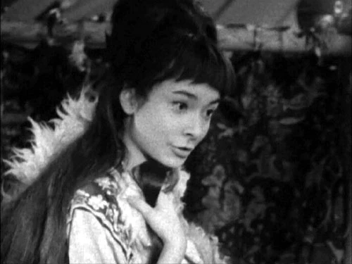 Ping-Cho | Tardis | Fandom