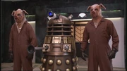 Pig slave | Tardis | Fandom