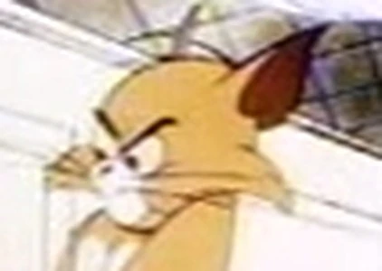 Tom Cat | Tardis | Fandom