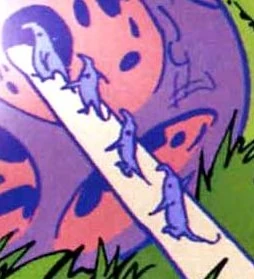 Zeerover | Tardis | Fandom