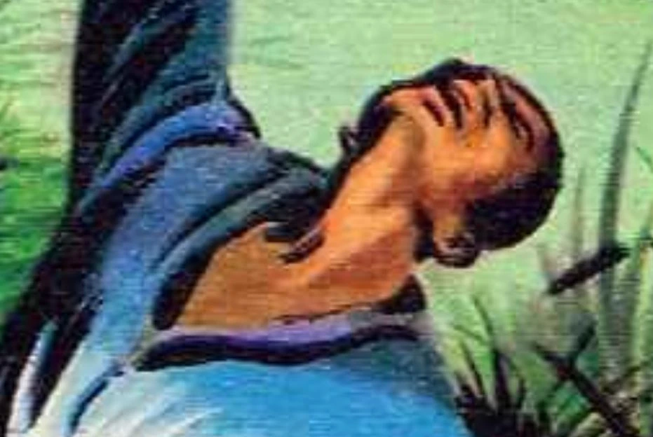 Lim-Po | Tardis | Fandom