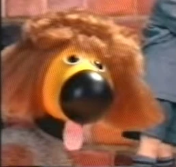 Dill the Dog | Tardis | Fandom