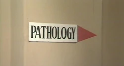 Pathology | Tardis | Fandom