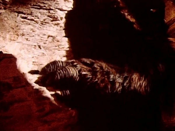 Yeti (The Five Doctors) | Tardis | Fandom