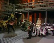 Dragon | Tardis | Fandom