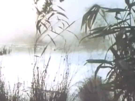 Mistfall | Tardis | Fandom