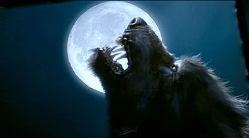 Werewolf Claws And Teeth