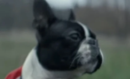 Dog 2 (2016 BBC Christmas ident) | Tardis | Fandom