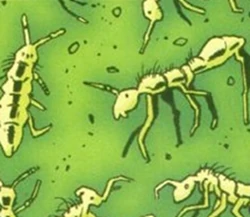 Springtail | Tardis | Fandom