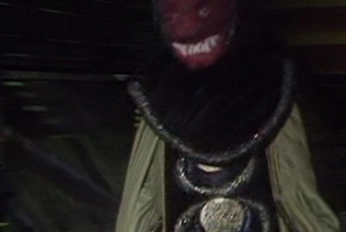 Deep Roy Transformers