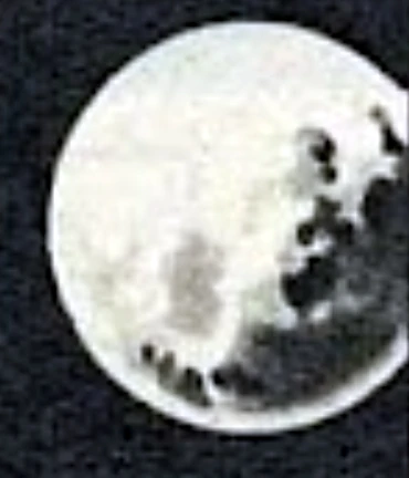 Kaptar | Tardis | Fandom