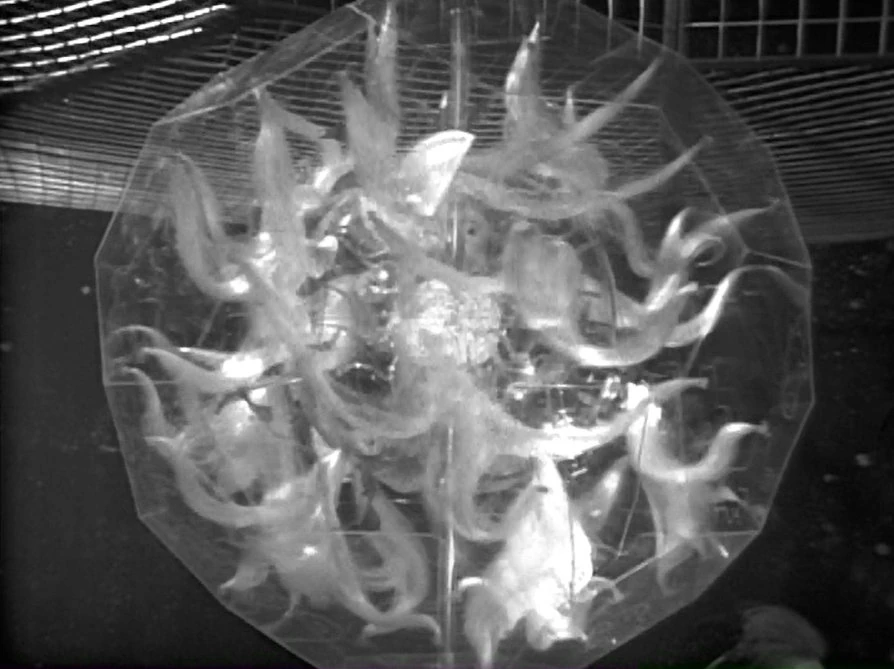 Master Brain | Tardis | Fandom