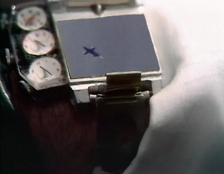 Doodlebug | Tardis | Fandom