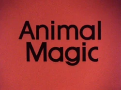 Animal Magic (series) | Tardis | Fandom