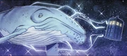 Star whale | Tardis | Fandom