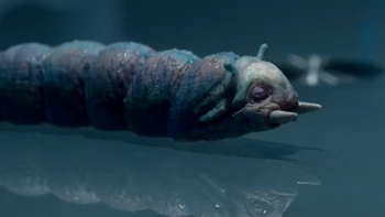 Memory worm | Tardis | Fandom