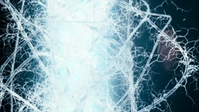 Time stream | Tardis | Fandom