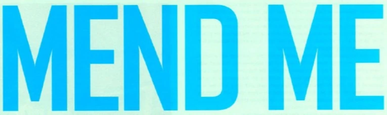 Mend Me (short story) | Tardis | Fandom