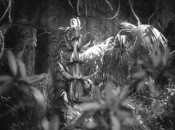 Kembel/Appearances | Tardis | Fandom