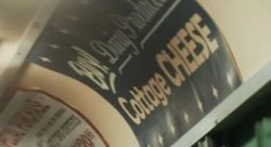 Cottage cheese | Tardis | Fandom