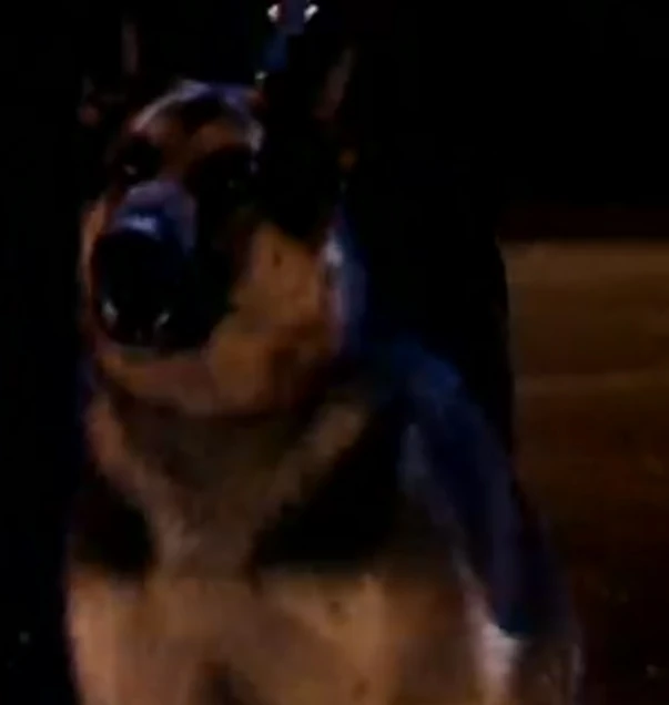 German Shepherd (Aliens of London) | Tardis | Fandom