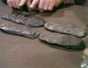 Solonian | Tardis | Fandom