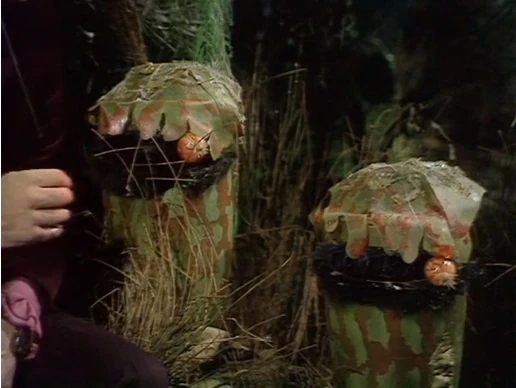 Eye-plant | Tardis | Fandom