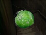 Rutan | Tardis | Fandom