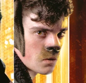 Peter Summerfield | Tardis Fan Database Wiki | Fandom