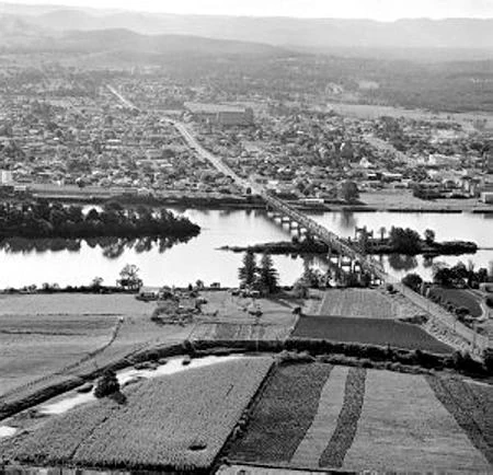 Taree | Taree Wiki | Fandom