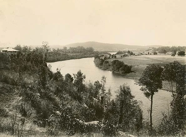 Wingham | Taree Wiki | Fandom