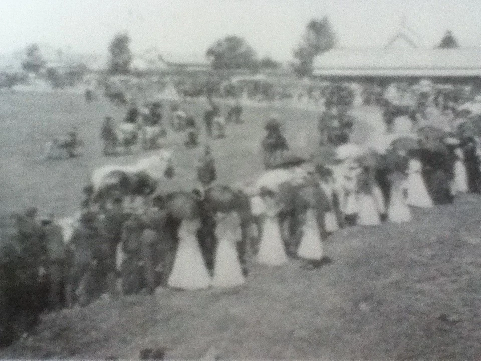 Taree Show | Taree Wiki | Fandom