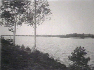 Manning River | Taree Wiki | Fandom