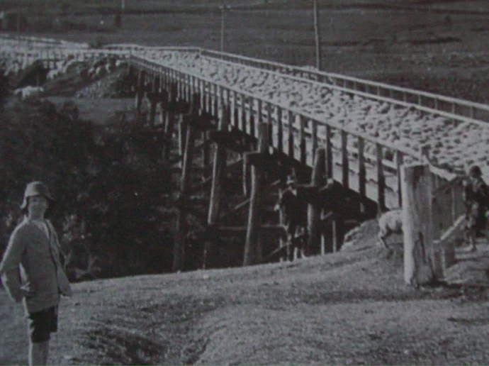 Cedar Party Bridge | Taree Wiki | Fandom