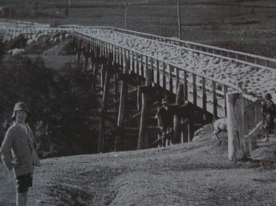 Cedar Party Bridge | Taree Wiki | Fandom