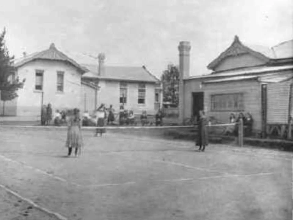 Taree Public School | Taree Wiki | Fandom