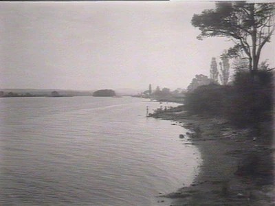 Manning River | Taree Wiki | Fandom