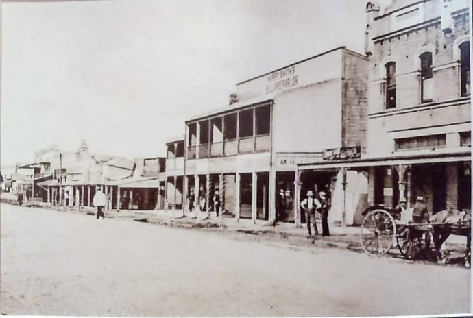 Taree | Taree Wiki | Fandom