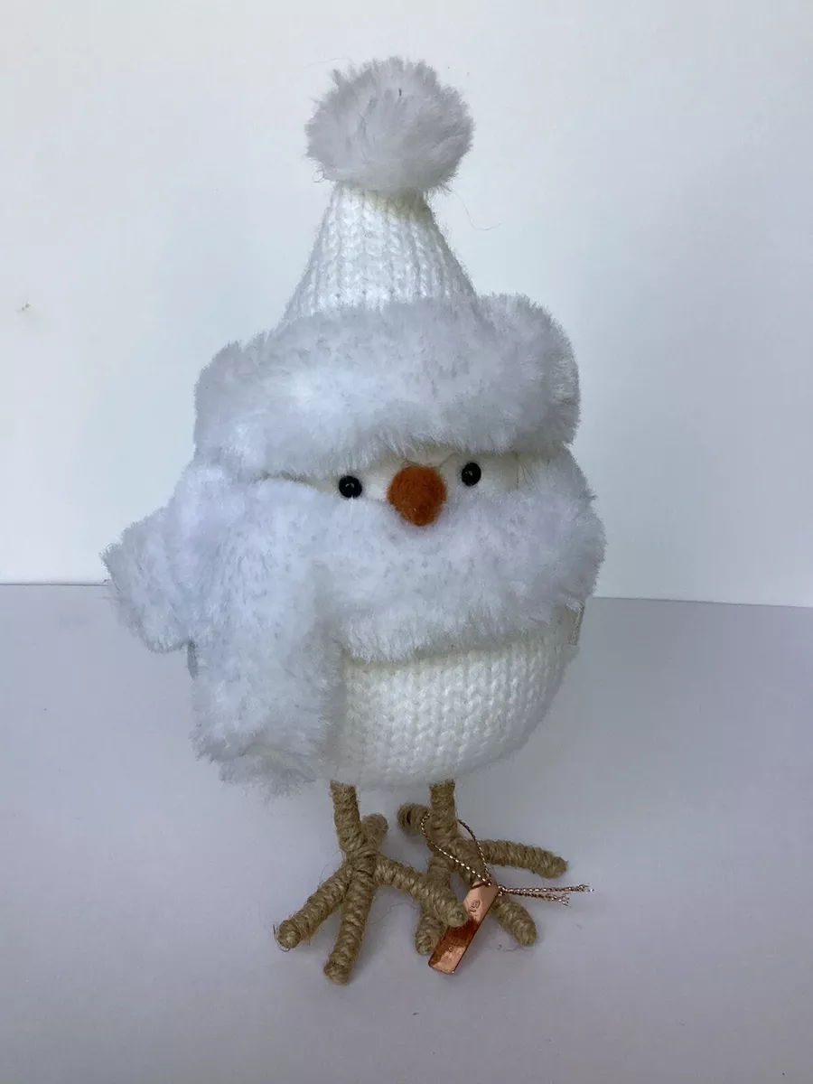 Glacier | Target Birds Wiki | Fandom