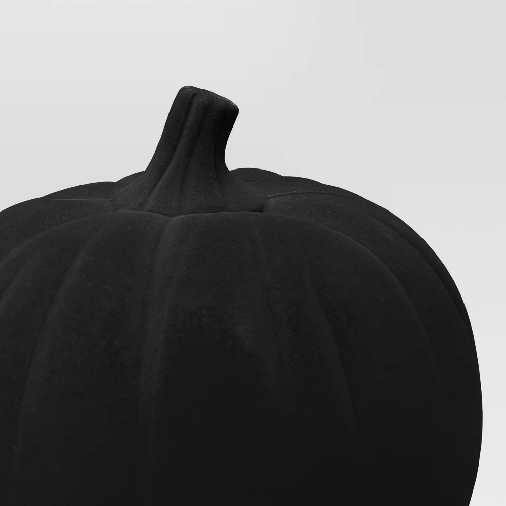Black Flocked Pumpkin | Target Halloween Wiki | Fandom
