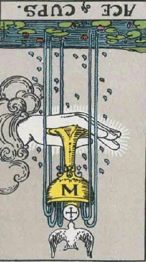 Minor Arcana | Tarot Wiki | Fandom