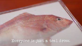 Everyone is just a teal dress. | Taskmaster Wiki | Fandom