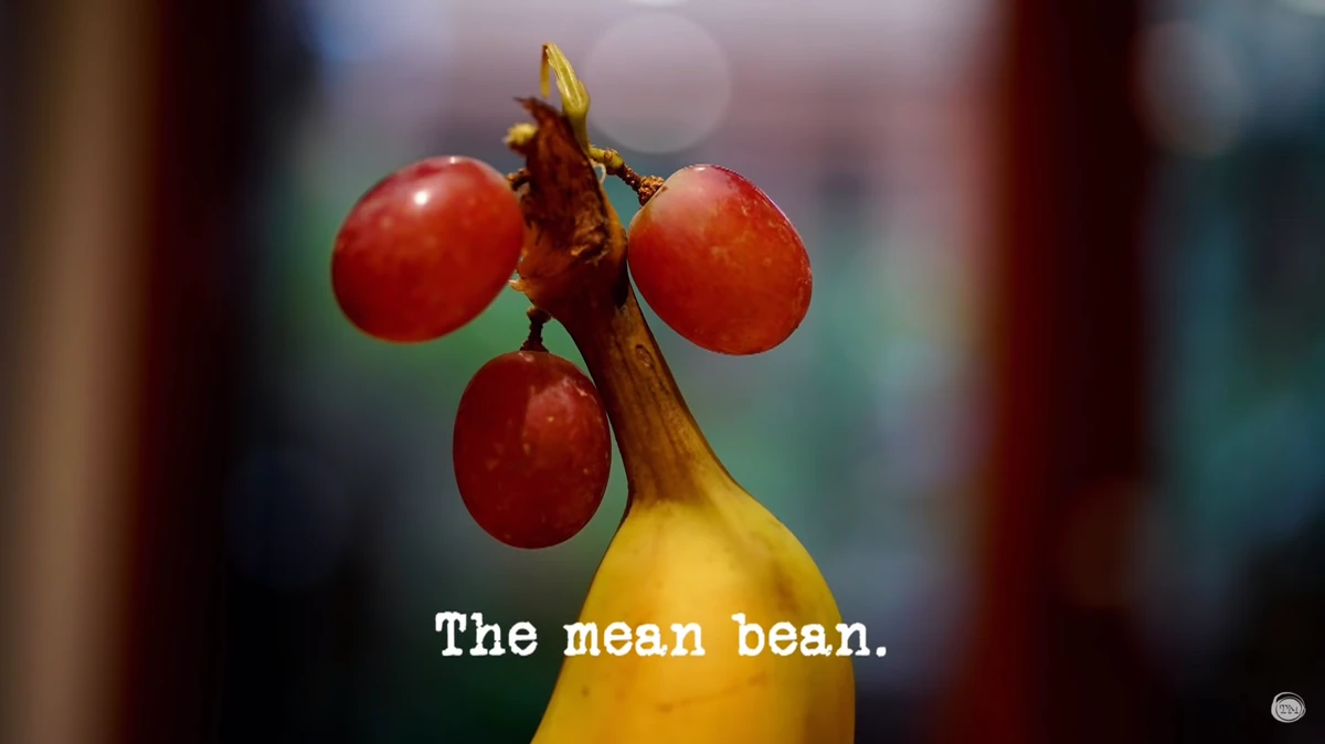 The mean bean. | Taskmaster Wiki | Fandom