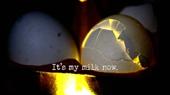 It's my milk now. | Taskmaster Wiki | Fandom