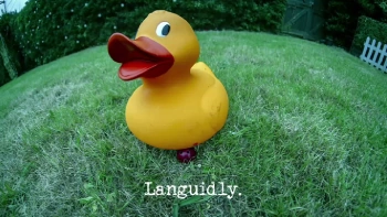 Languidly. | Taskmaster Wiki | Fandom