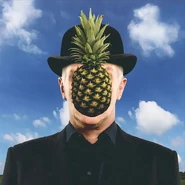 Taskmaster House | Taskmaster Wiki | Fandom