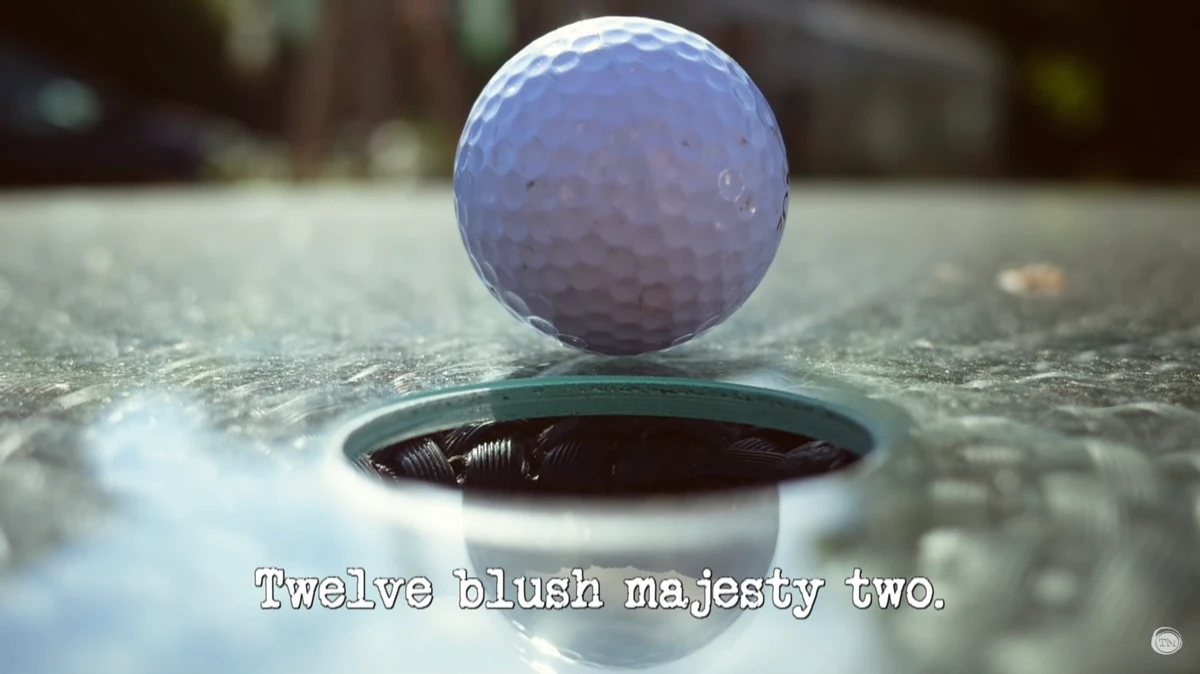 Twelve blush majesty two. | Taskmaster Wiki | Fandom